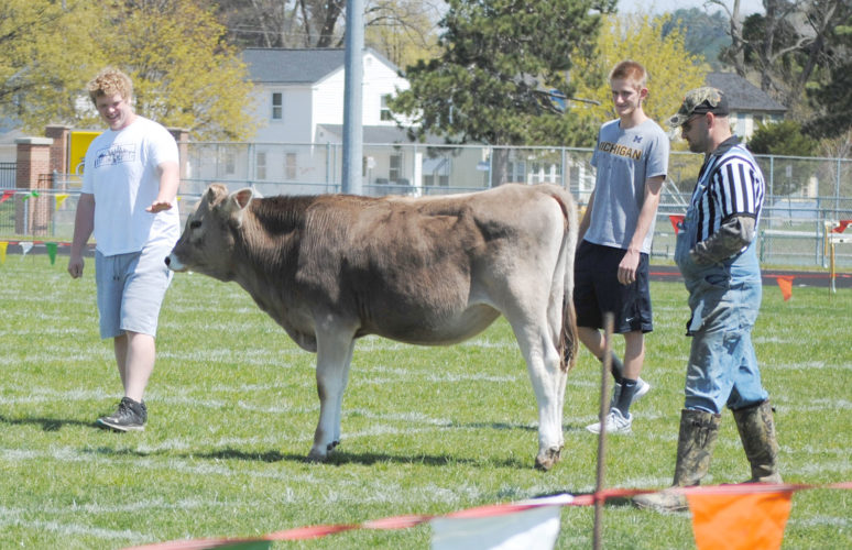 Annual Cow Bingo Grand Prize Winner Announced News Sports Jobs annual-cow-bingo-grand-prize-winner-announced-news-sports-jobs